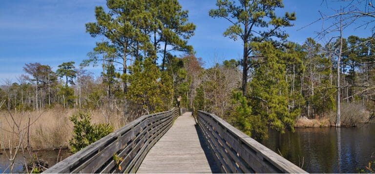 Town of Kitty Hawk, North Carolina | Official Government Website